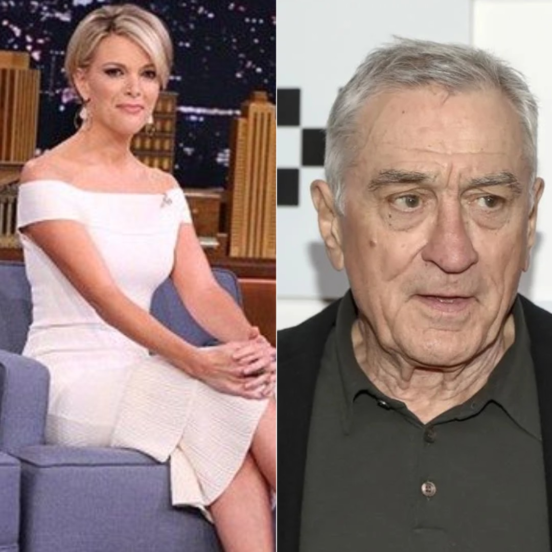 Megyn Kelly openly criticizes Robert De Niro, calling him “colossally ...
